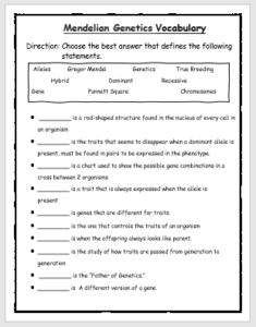 Mendelian Genetics Vocabulary Worksheet - EnglishBix