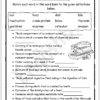 Nutrition Vocabulary Worksheet - EnglishBix