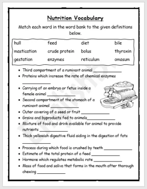Nutrition Vocabulary Worksheet - EnglishBix