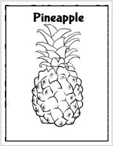 Pineapple Coloring and Tracing Printable Worksheets - EnglishBix