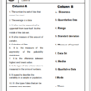 Statistics Vocabulary Worksheet - EnglishBix