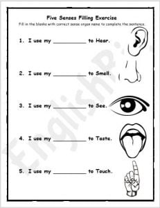Using Five Senses in Writing Worksheet - EnglishBix