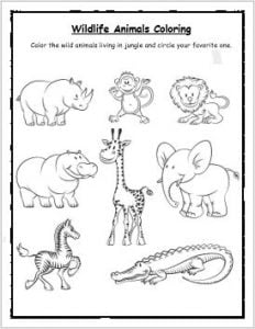 Wildlife Animals Coloring Worksheet - EnglishBix